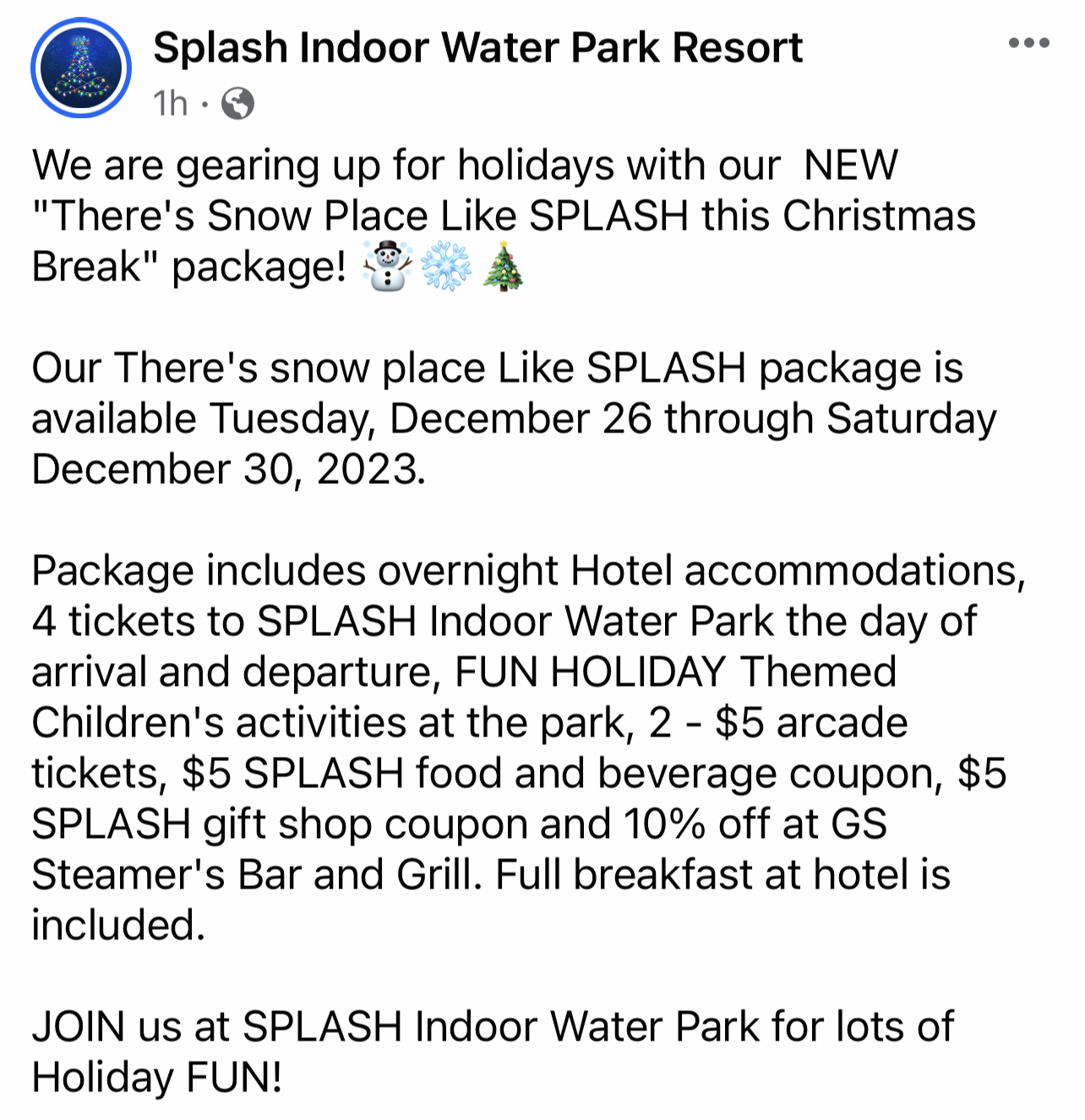 Splash Indoor Water Park Christmas Package | CenterState CEO